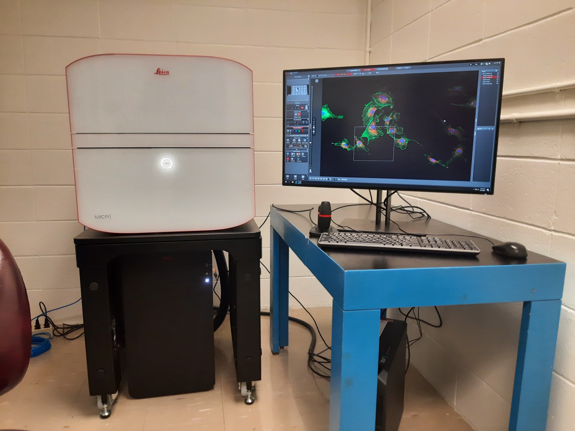 Leica Mica Microhub | Biomedical and Molecular Sciences | School of ...